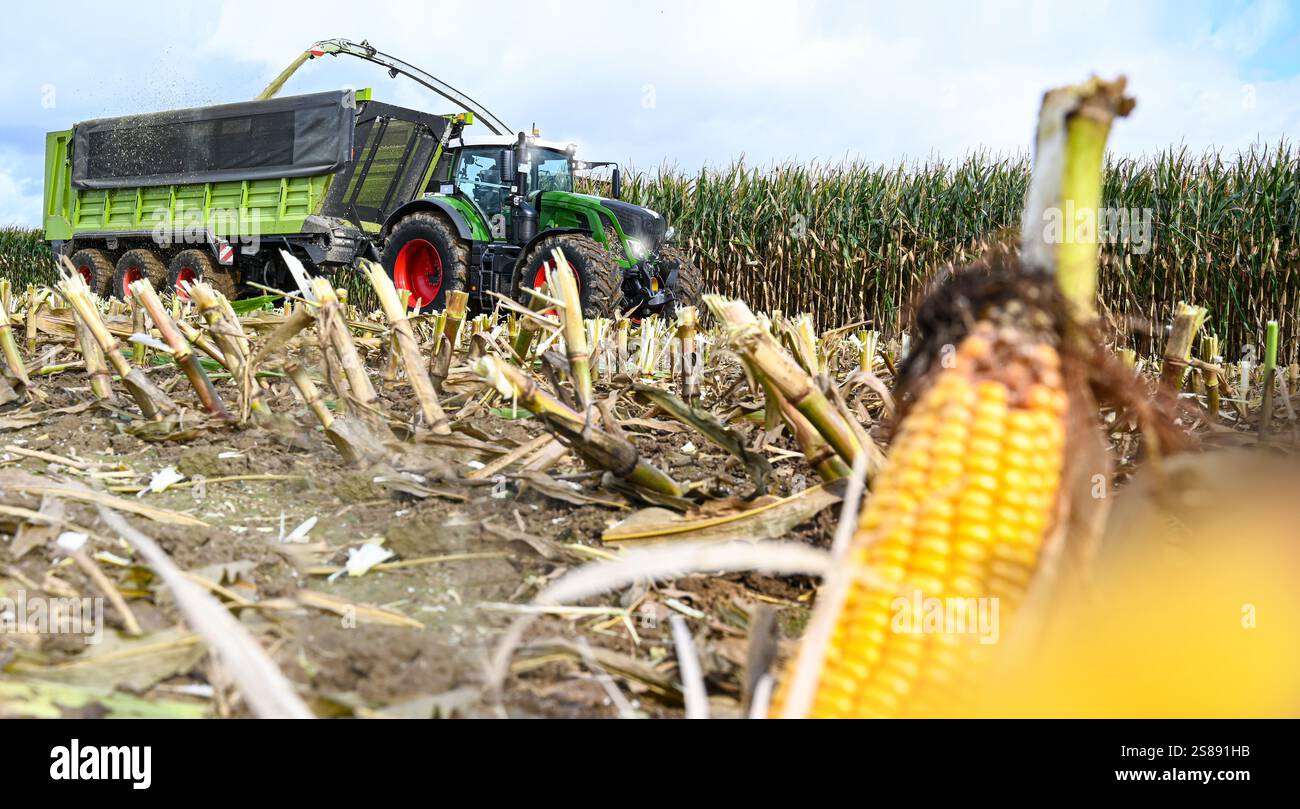Latest forage harvester-tractor combine harvester harvesting a maize ...