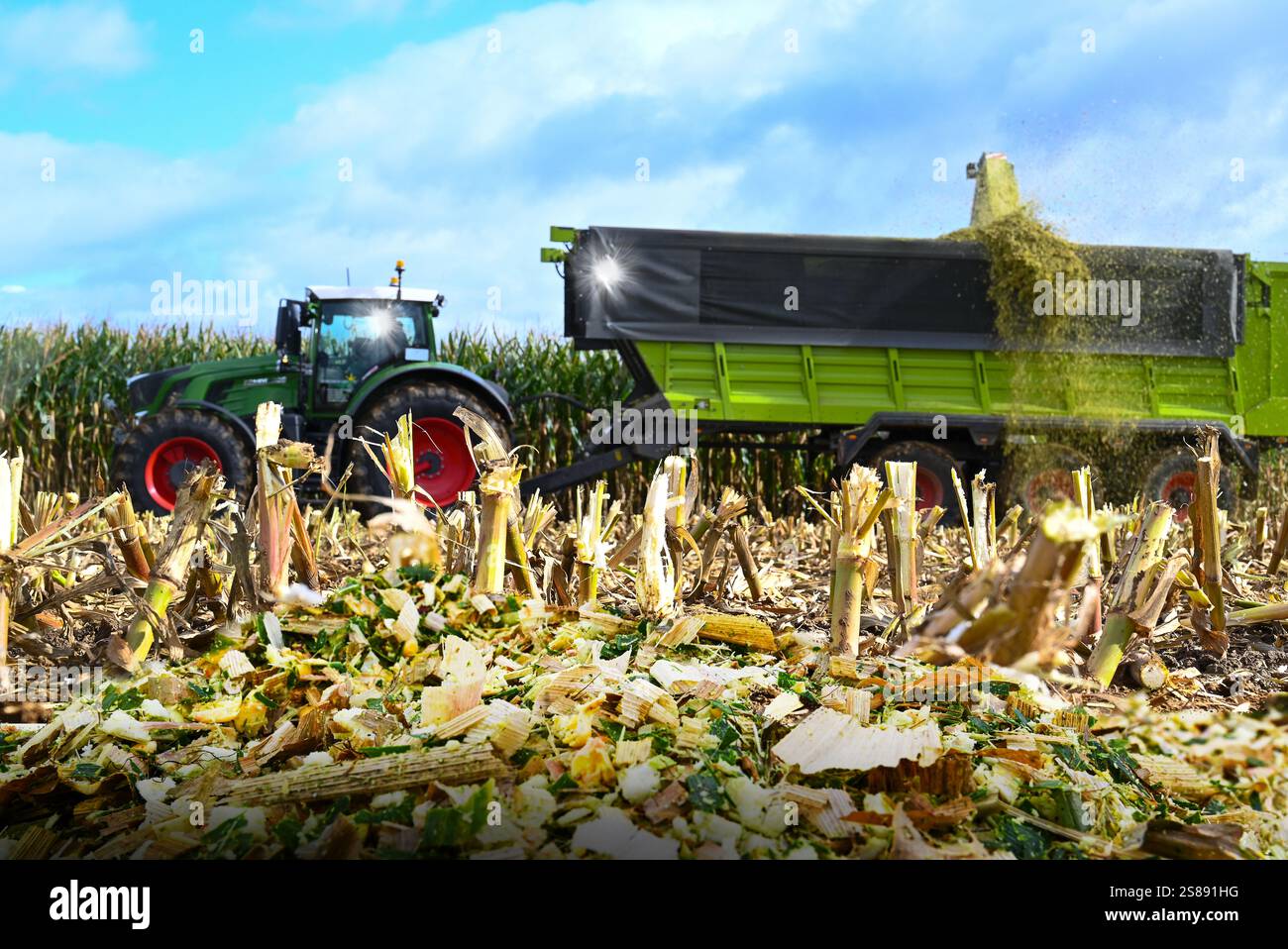 Latest forage harvester-tractor combine harvester harvesting a maize ...