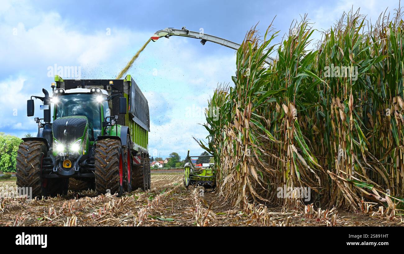 Latest forage harvester-tractor combine harvester harvesting a maize ...