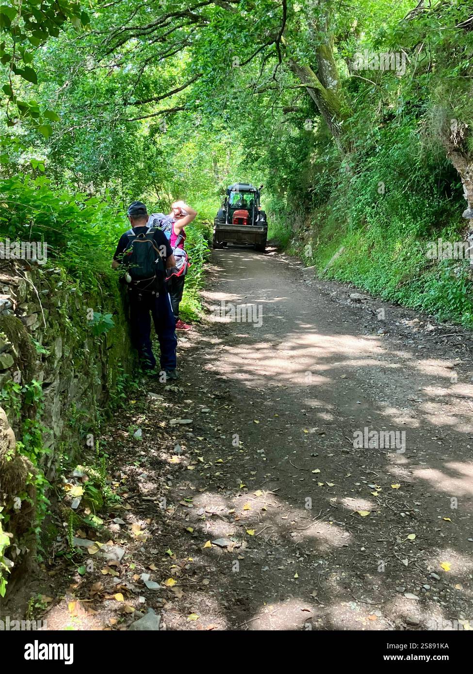 Hikers Making Way for a Tractor Stock Photo - Alamy