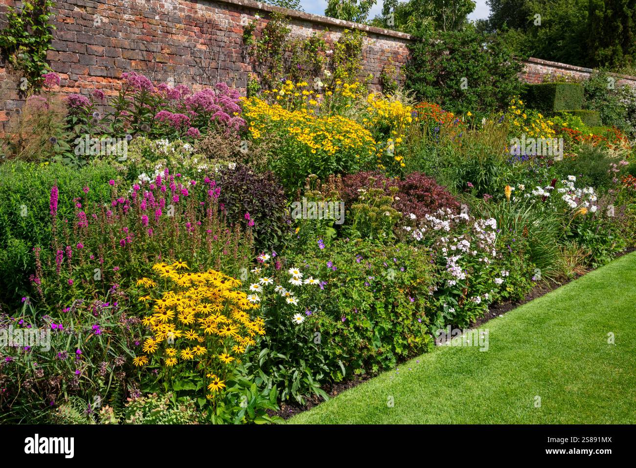 Famous double herbaceous Borders at Arley Hall and Gardens in Cheshire ...