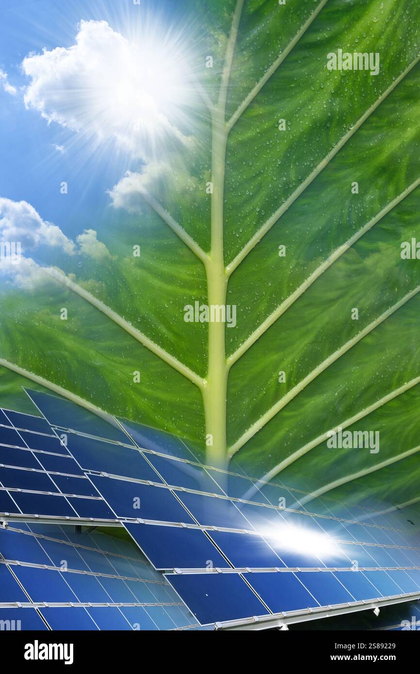 Regenerative renewable sustainable solar green energy power resources ...