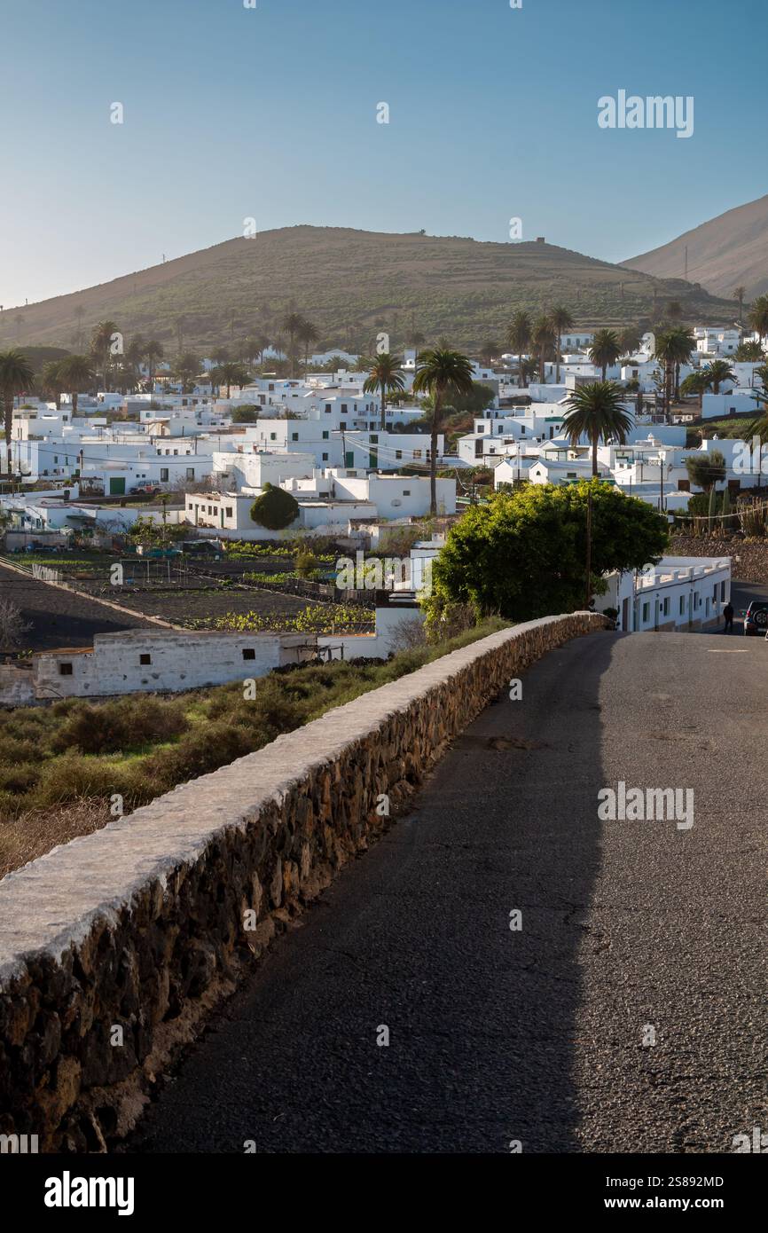 Houses with white facades, traditional local architecture. Many palm ...