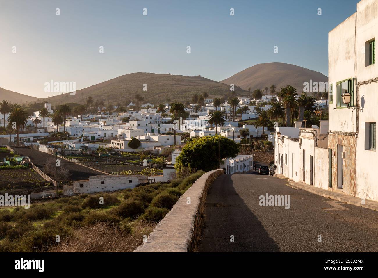 Houses with white facades, traditional local architecture. Many palm ...