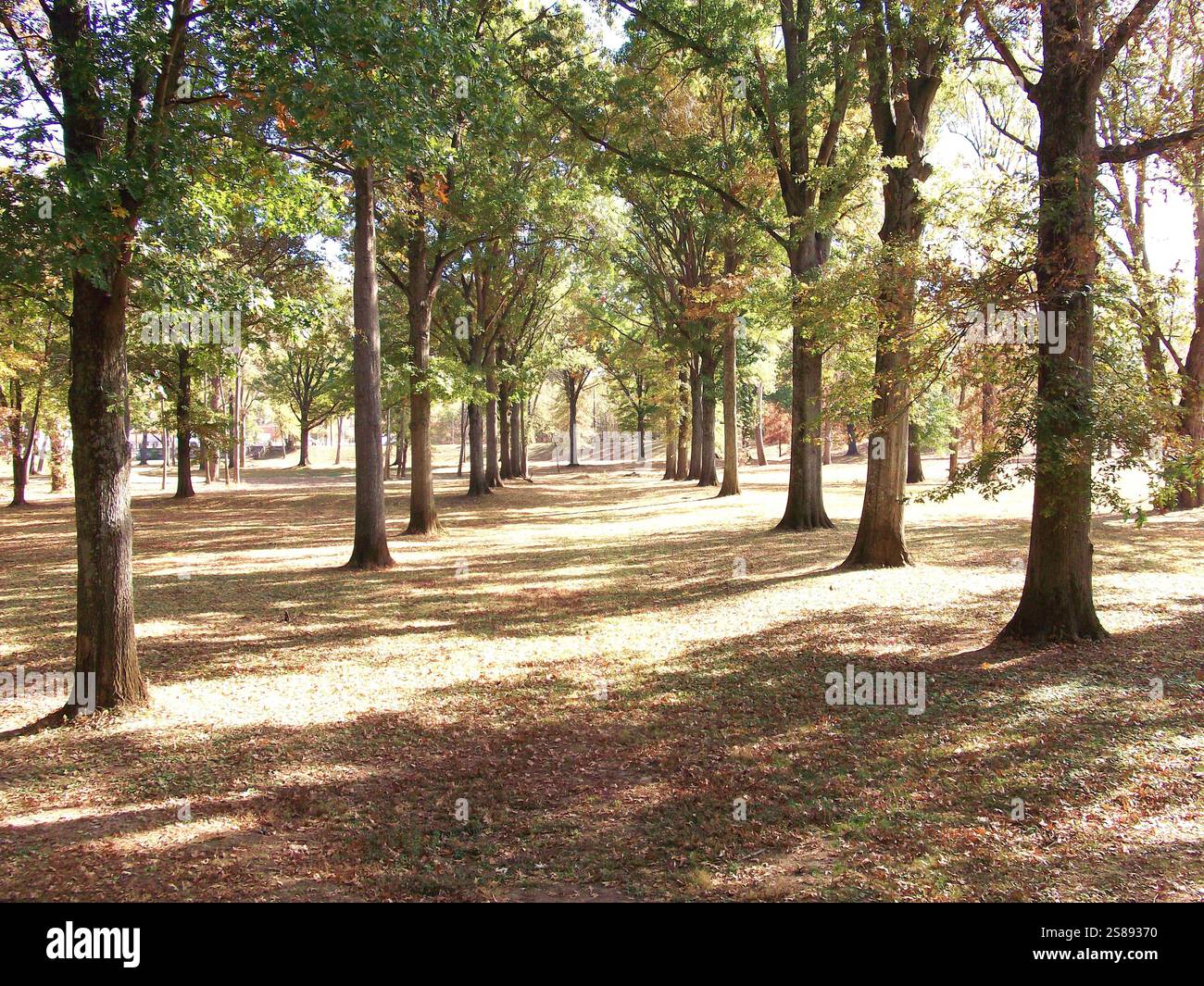 Orange County, Indiana French Lick, Brown County Indiana Stock Photo ...