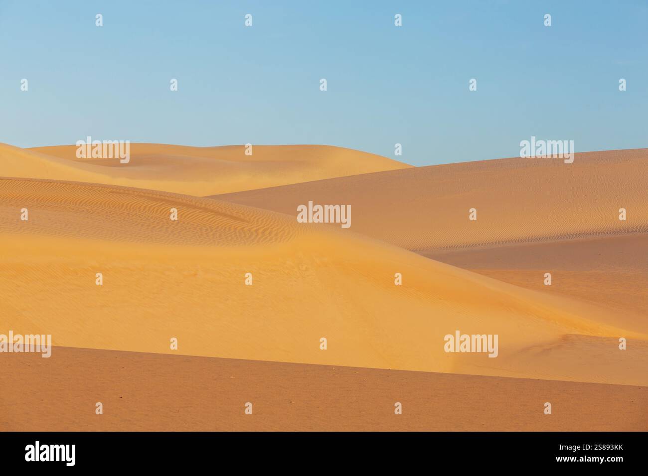 Sand dunes in northern Brazil at sunset Stock Photo - Alamy