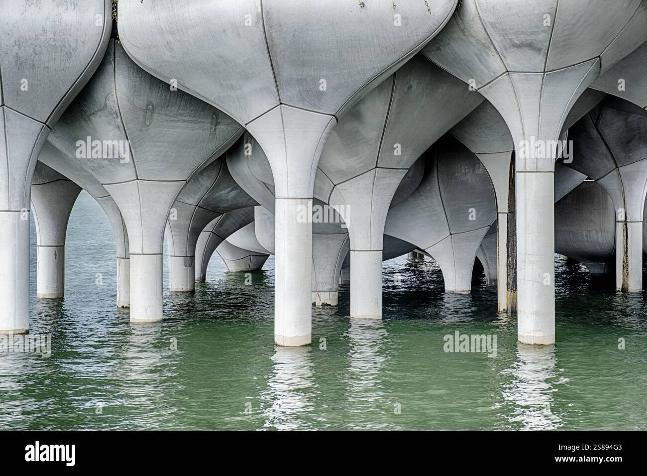 Many concrete piers in the shape of tulips provide the support for the ...