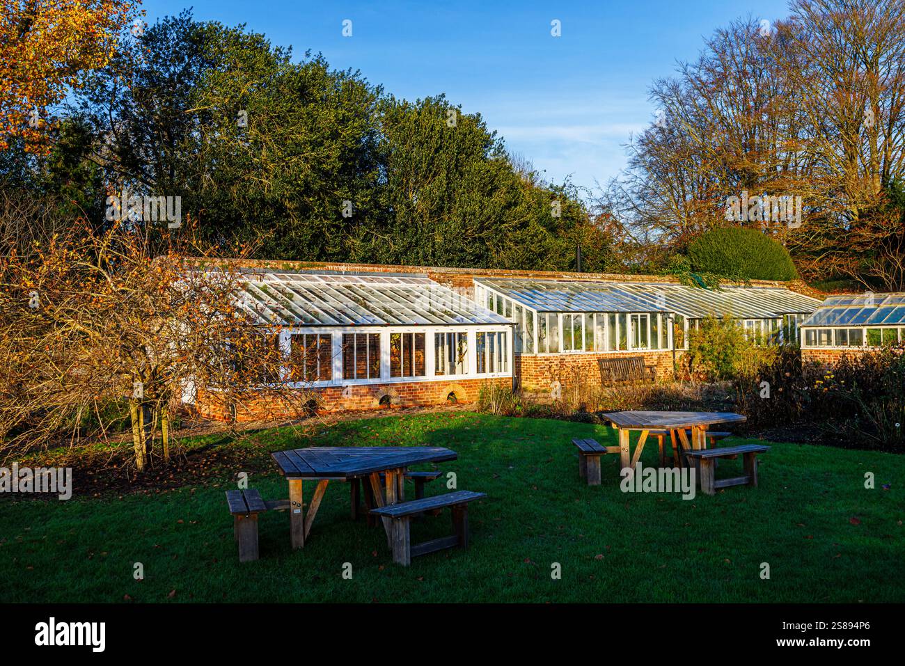 Old fashioned brick built glasshouses at golden hour in winter in the ...