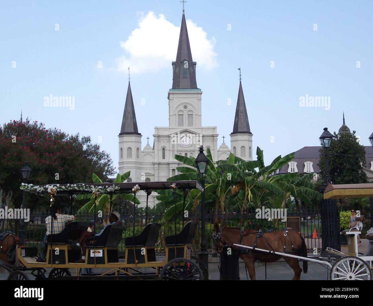 Visiting New Orleans, LA Stock Photo - Alamy
