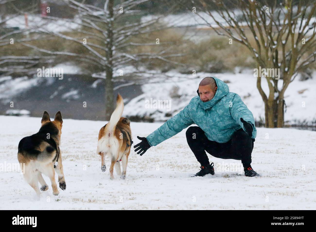 Chris Quintana plays in the snow with his dogs Bella and Saydee at ...