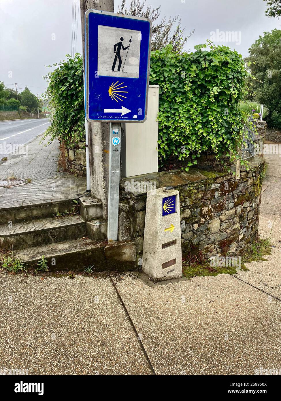Scallop Shell and Yellow Arrow: Signs of the Camino de Santiago Stock ...