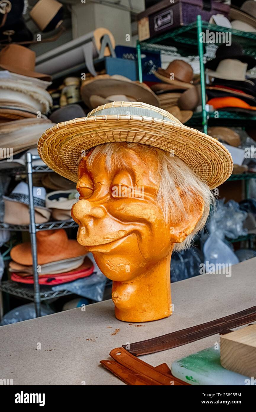 LOS ANGELES, CA - JULY 31, 2024: A model of a head similar to one used ...