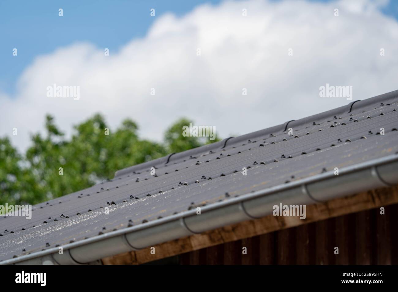 A roof with a lot of rain spots on it. The sky is cloudy and the trees ...
