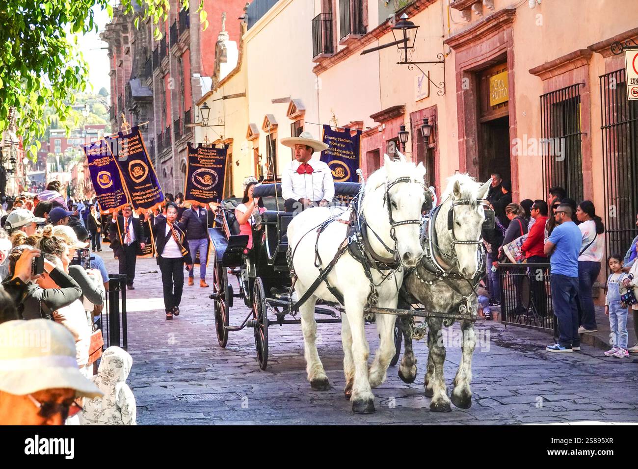 San Miguel de Allende, Mexico. 21st Jan, 2025. A horse drawn carriage ...