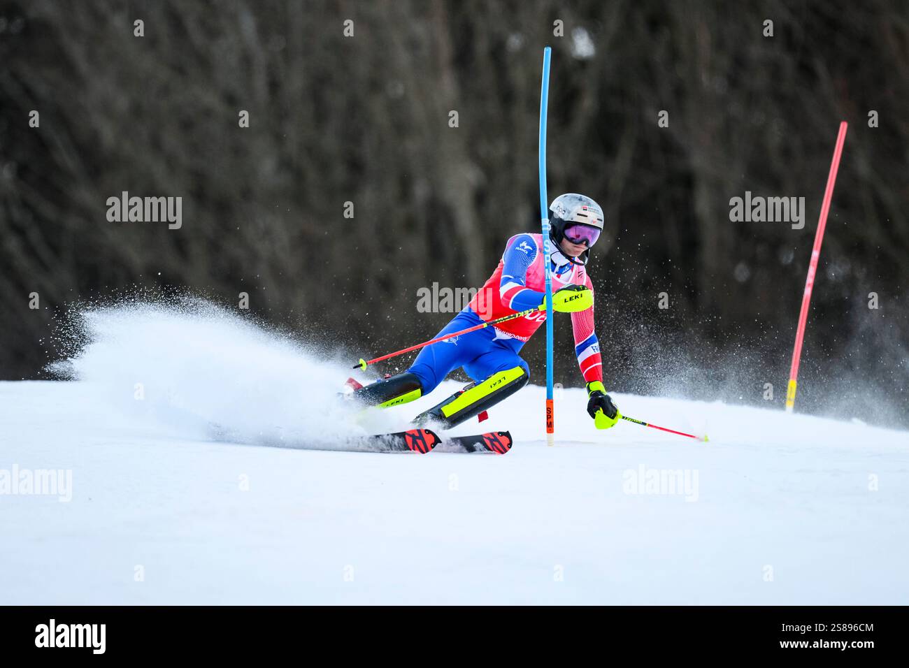 Feldberg, Germany. 21st Jan, 2025. Alpine skiing: FIS Para Alpine Ski ...