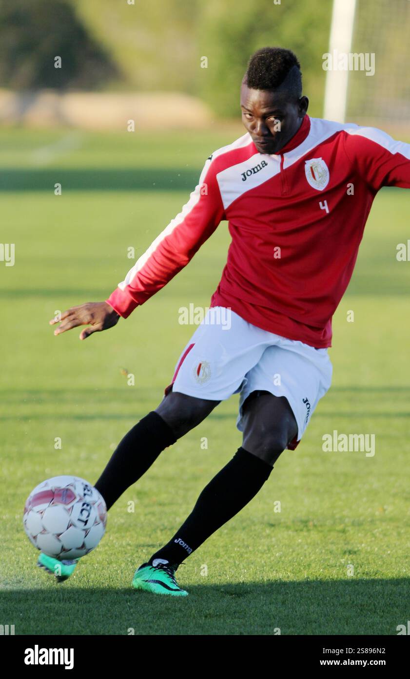 The Standard de Liege football team, currently the top team in Belgium ...