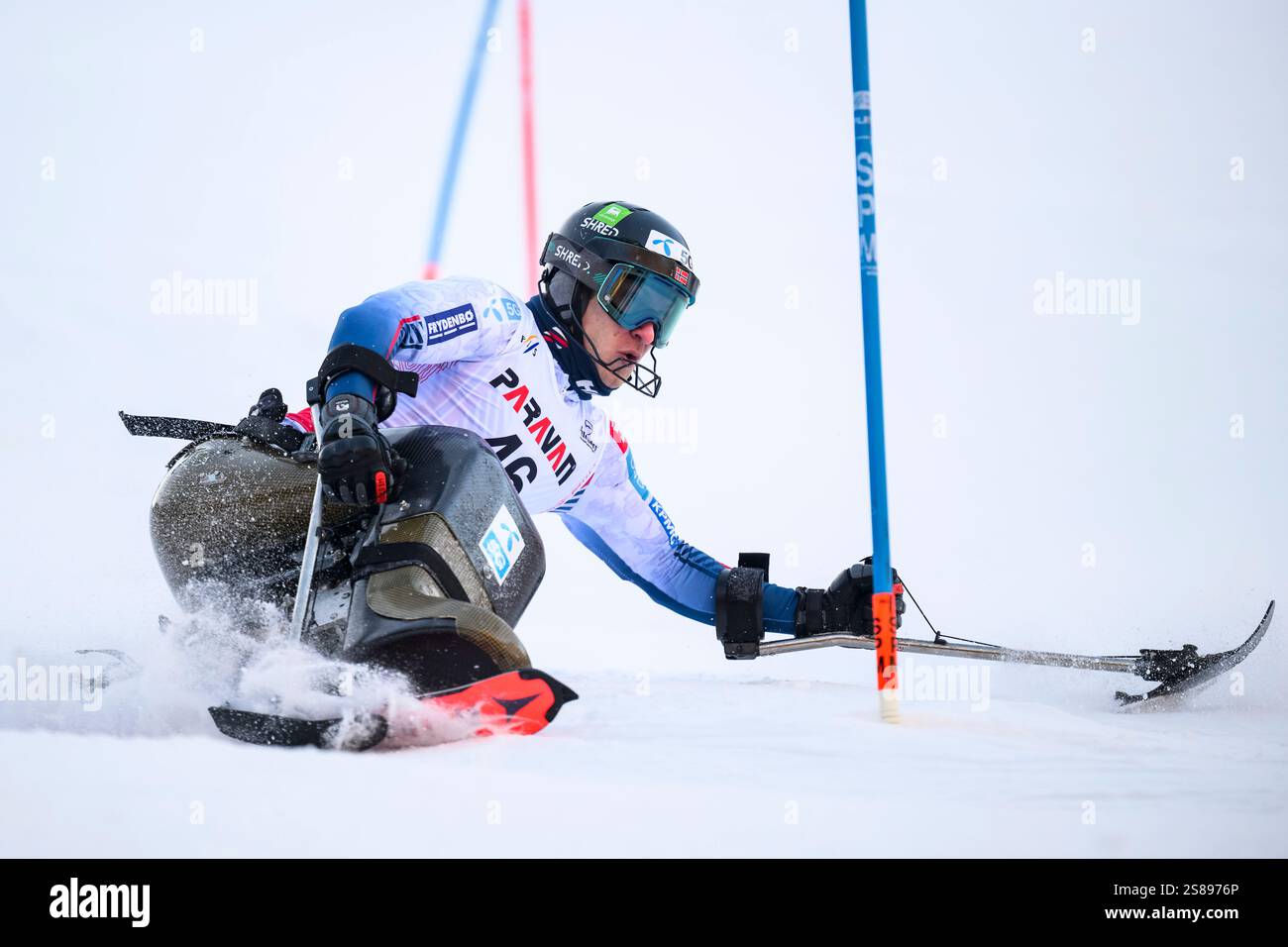 Feldberg, Germany. 21st Jan, 2025. Alpine skiing: FIS Para Alpine Ski ...