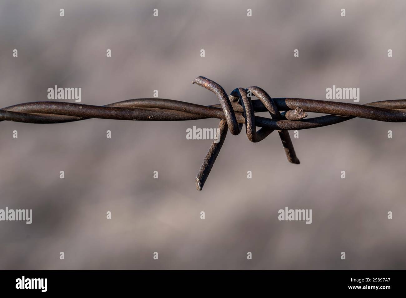 A wire with a knot in it. The wire is twisted and bent Stock Photo - Alamy