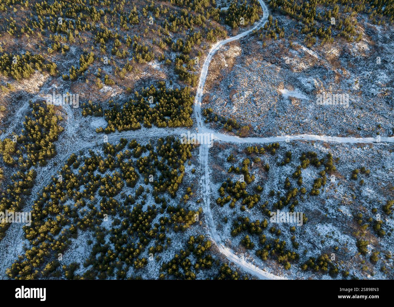 Aerial view of the Snæfoksstaðir Forest, a reforestation project near ...
