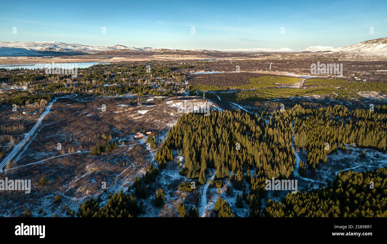 Aerial view of the Snæfoksstaðir Forest, a reforestation project near ...