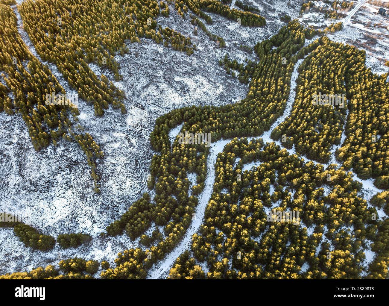 Aerial view of the Snæfoksstaðir Forest, a reforestation project near ...