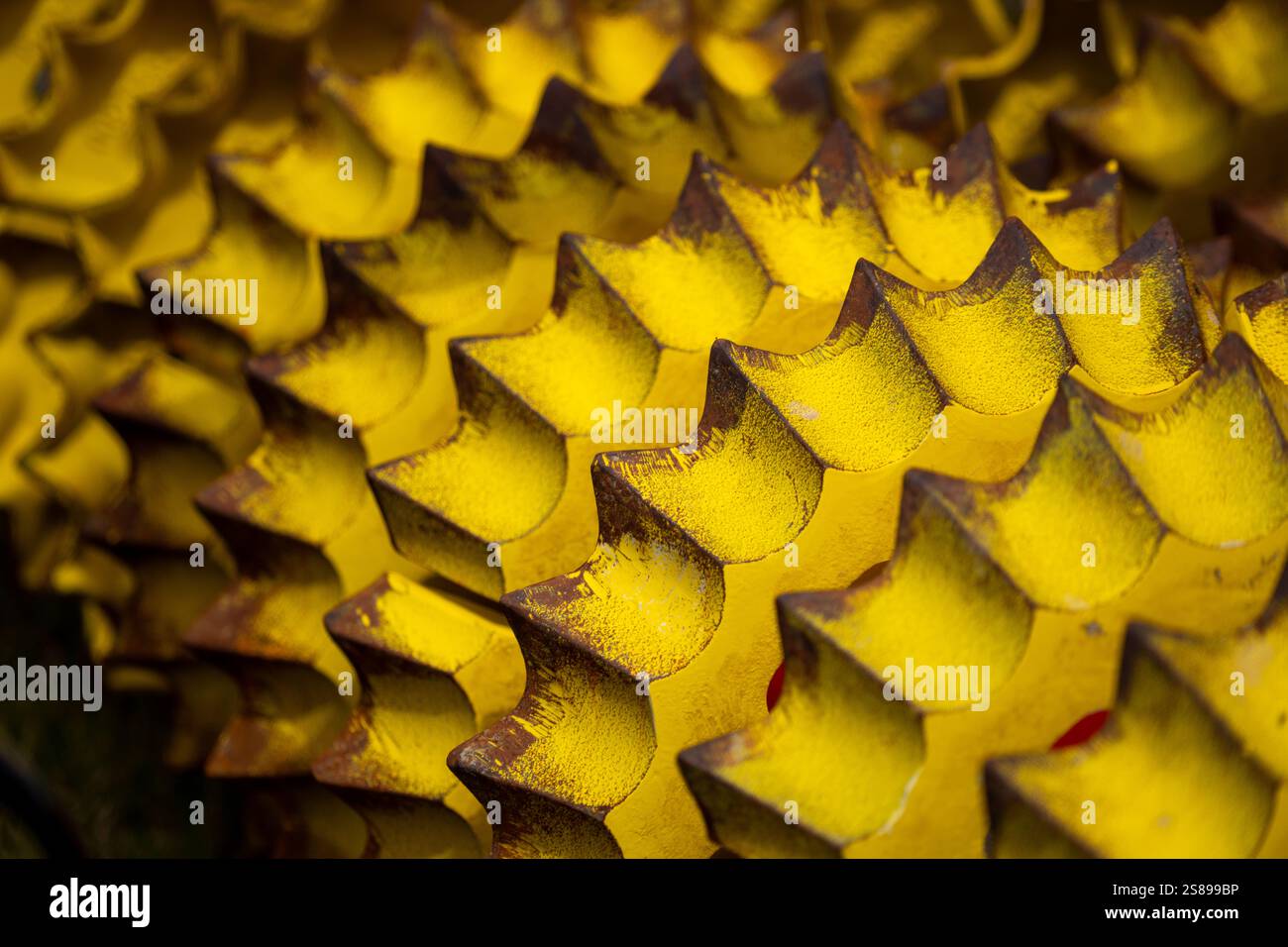 A close up of a yellow object with a lot of spikes. The yellow object ...