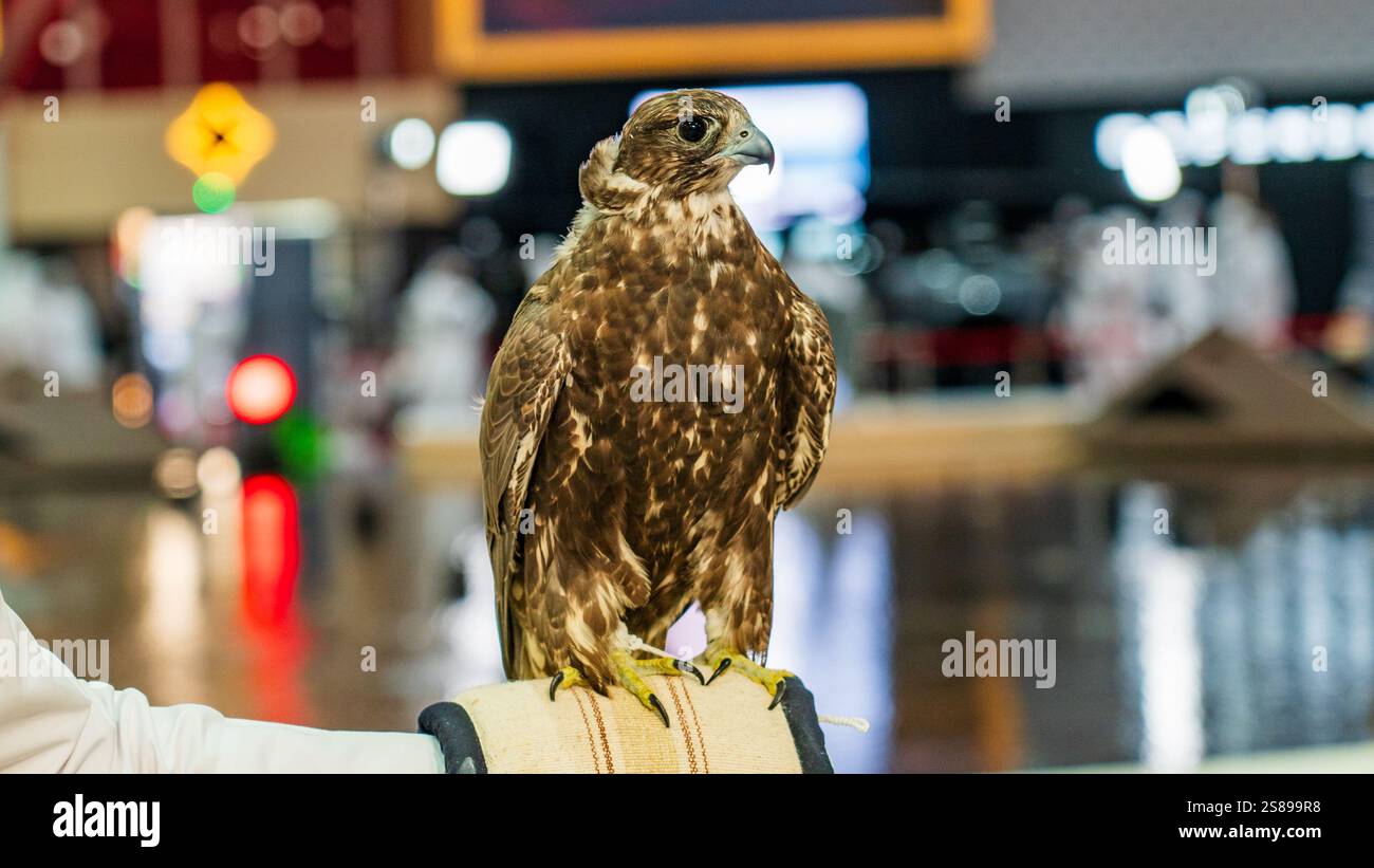 A majestic falcon captured in a striking pose, showcasing its sharp ...