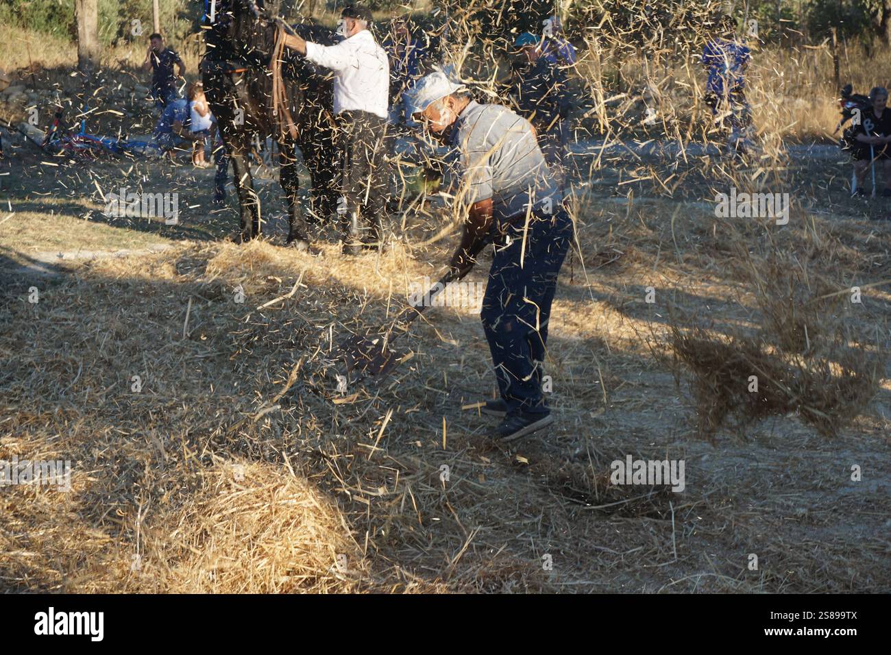 Mesara horse hi-res stock photography and images - Alamy