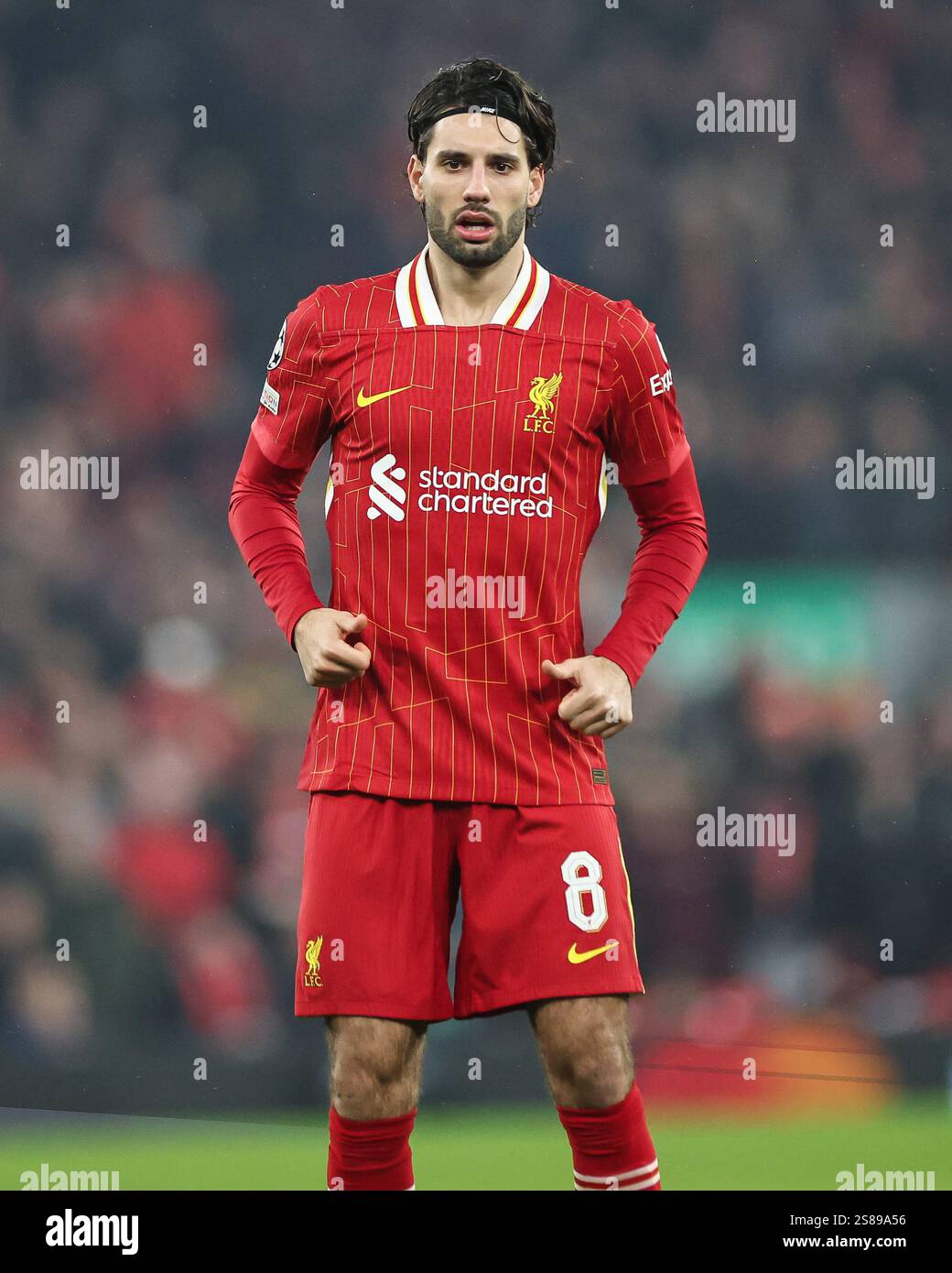 Dominik Szoboszlai of Liverpool during the UEFA Champions League ...
