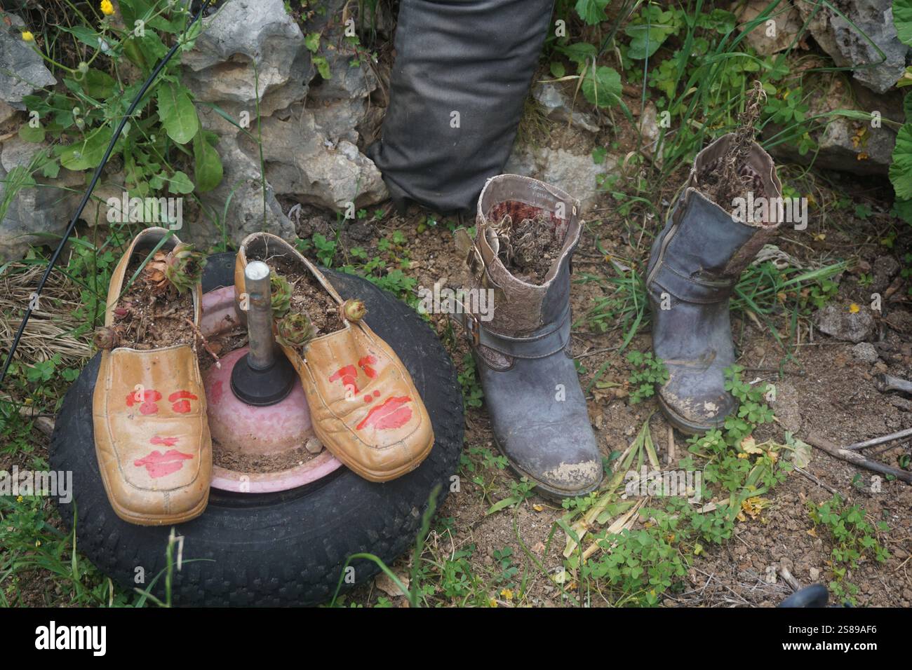 Shoes and boots have a second chance and are used as pots for plants ...