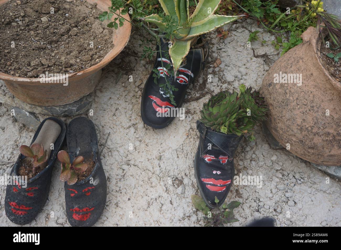 Old shoes have a second chance and are used as pots for plants ...
