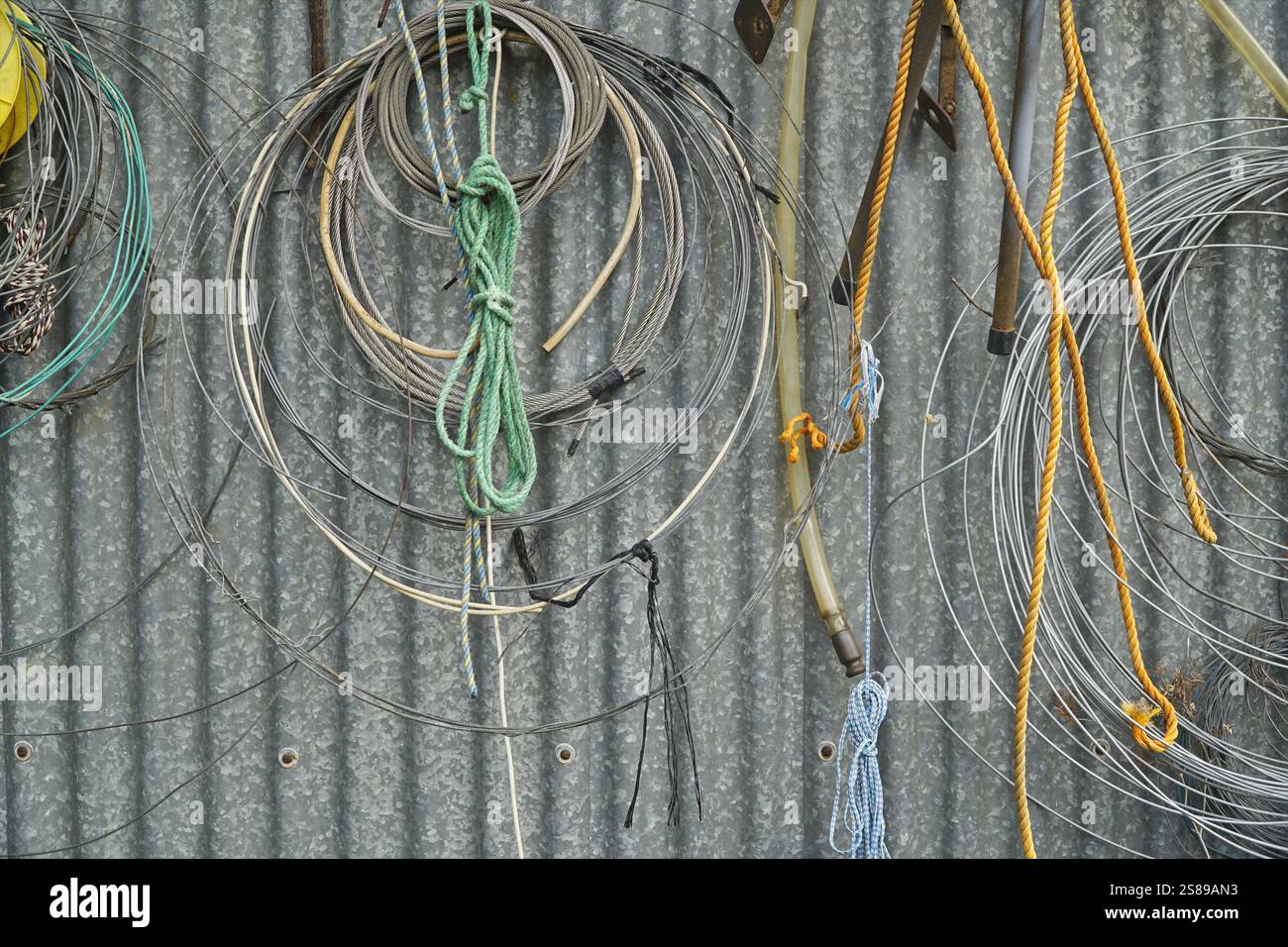 Assorted items including fencing wire and nylon ropes hanging against ...