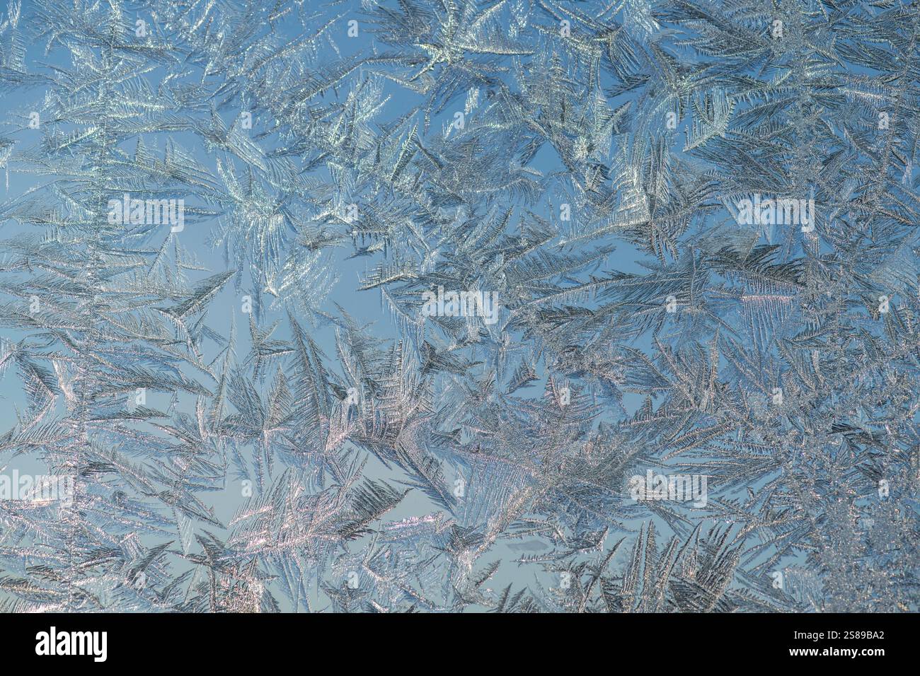 Winter frost on windows with sun pouring in and illuminating the ice ...