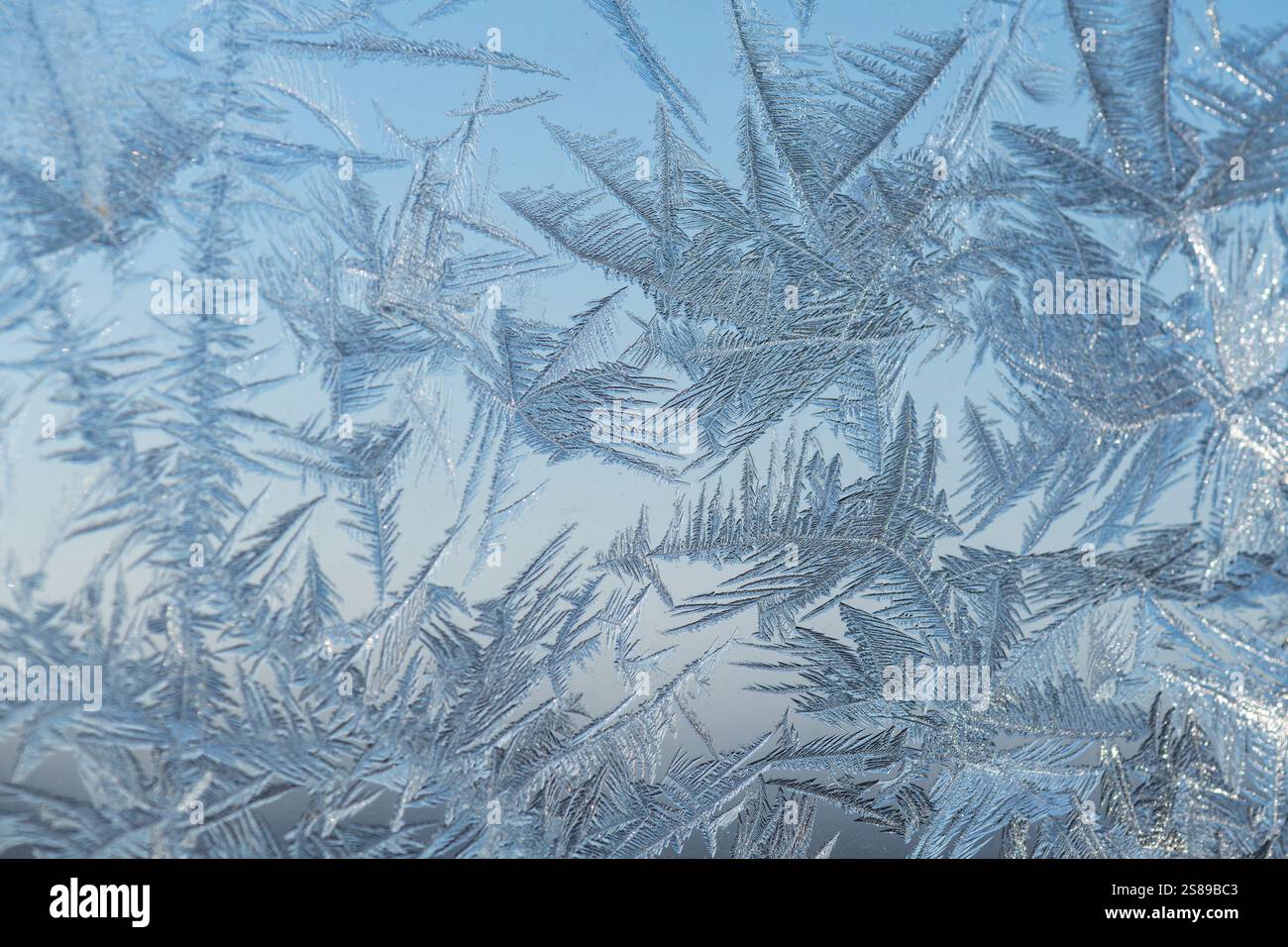 Winter frost on windows with sun pouring in and illuminating the ice, close-up detailed abstract ...