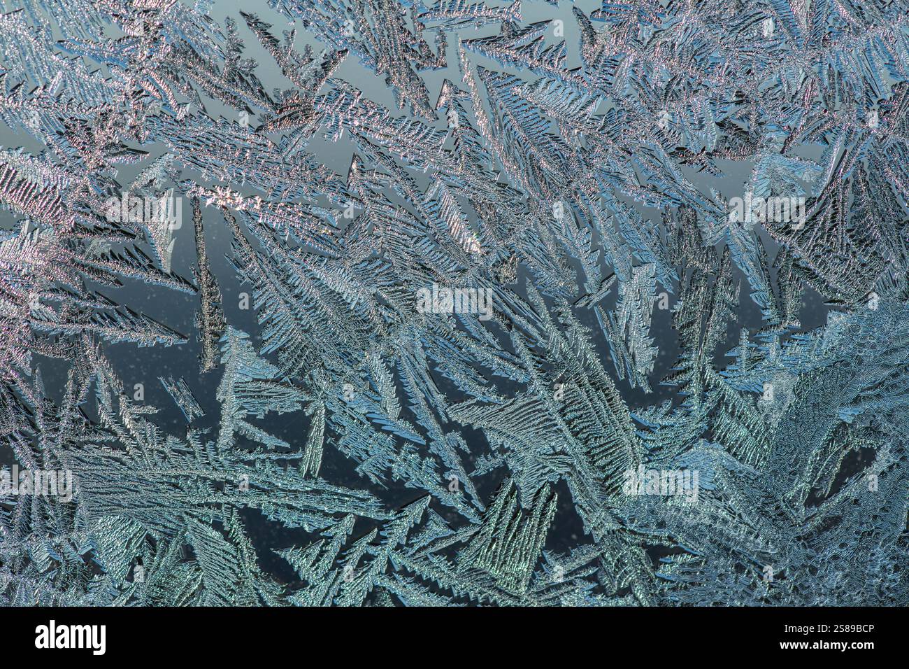 Winter frost on windows with sun pouring in and illuminating the ice ...