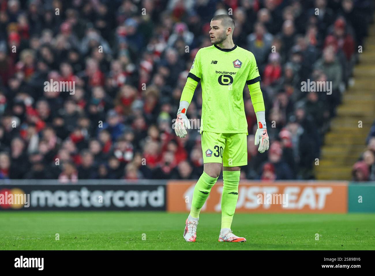 Lucas Chevalier of Lille during the UEFA Champions League - League ...