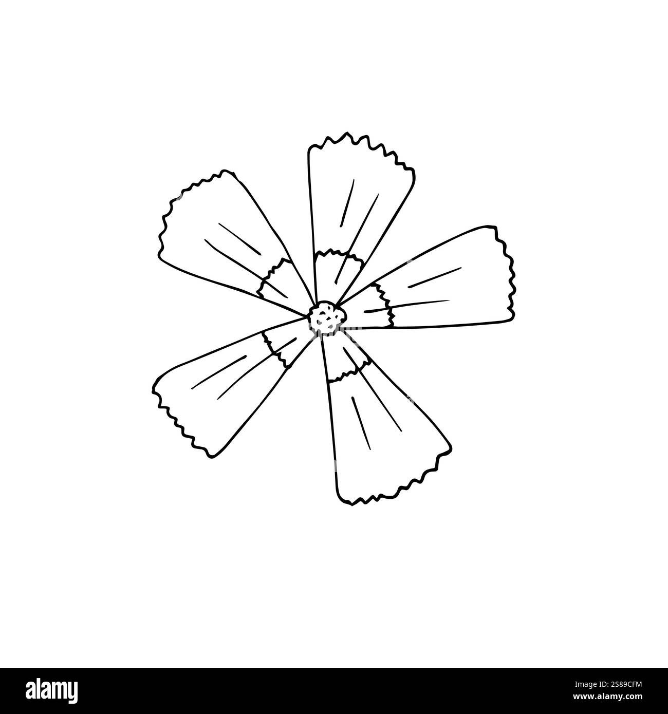 Vector hand drawn doodle sketch wild clove isolated on white background Stock Vector Image & Art ...