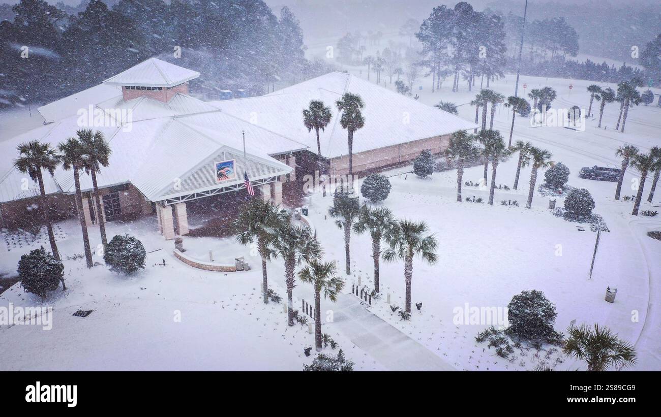 Heavy snow falls onto palm trees and the Florida Welcome Center on ...