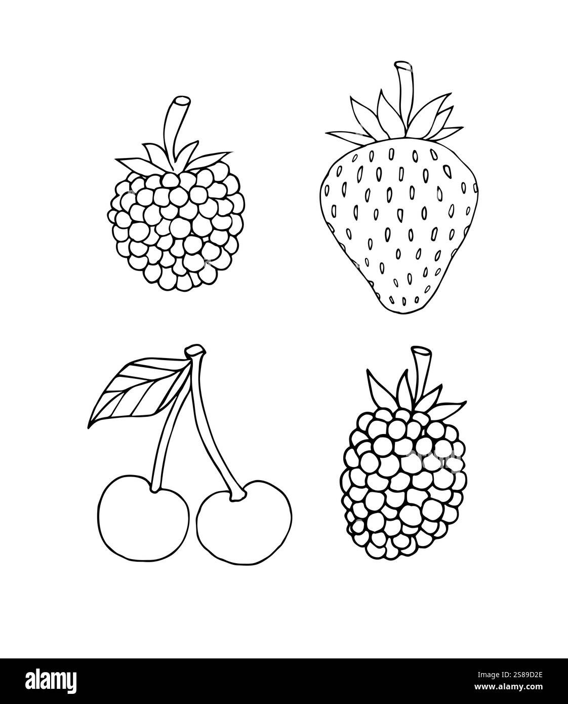 Vector set bundle of hand drawn doodle sketch berries isolated on white ...