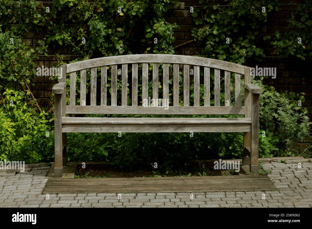 Bench with greenery hi-res stock photography and images - Alamy