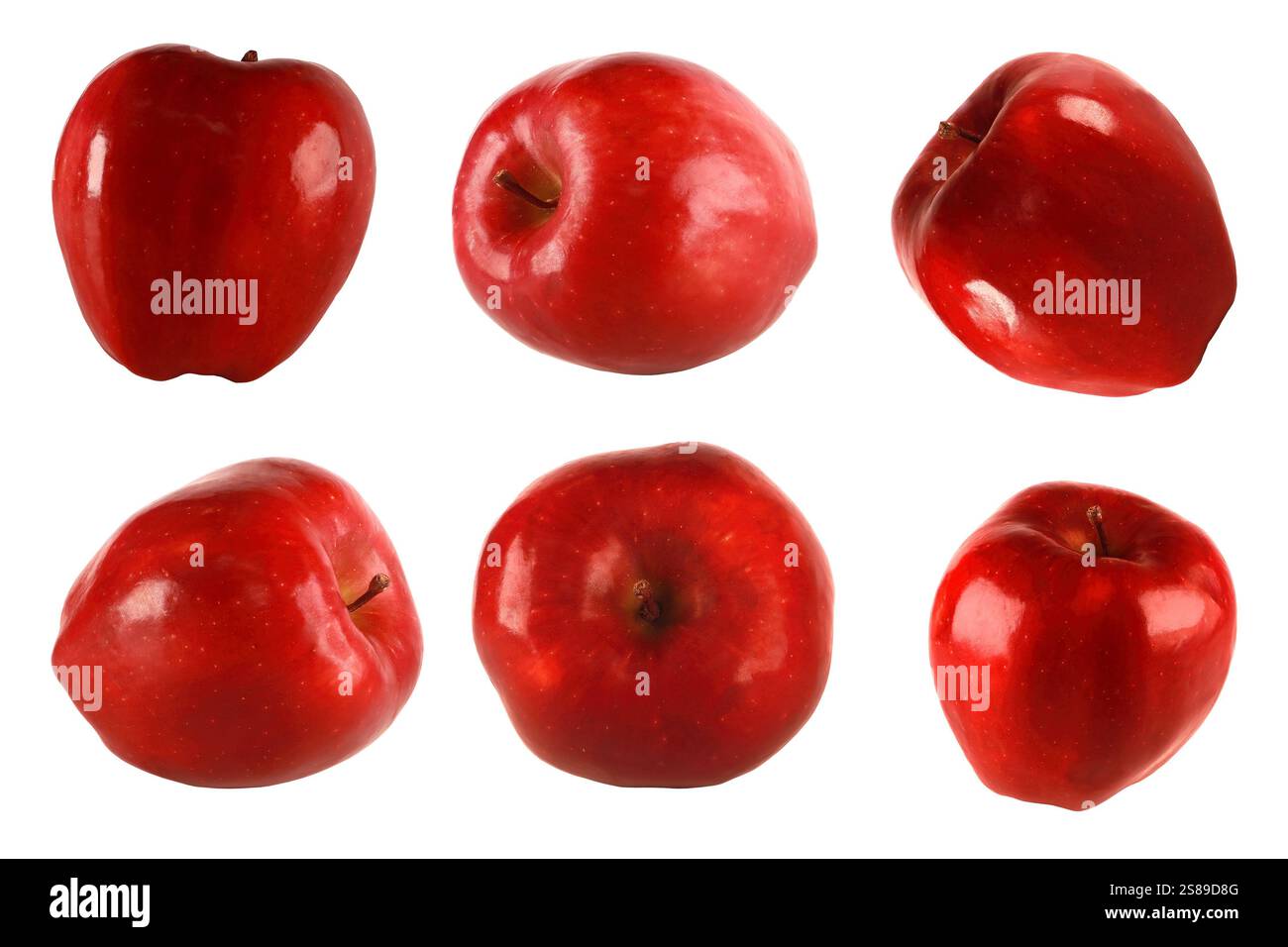 Red apples in different positions on a white background. There is an ...