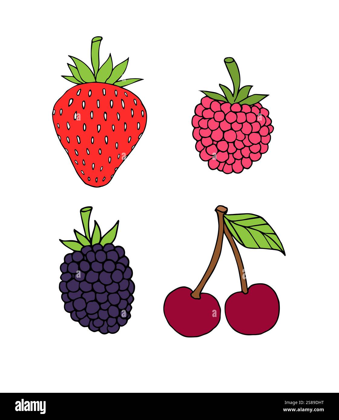 Vector set bundle of colored hand drawn doodle sketch berries isolated ...