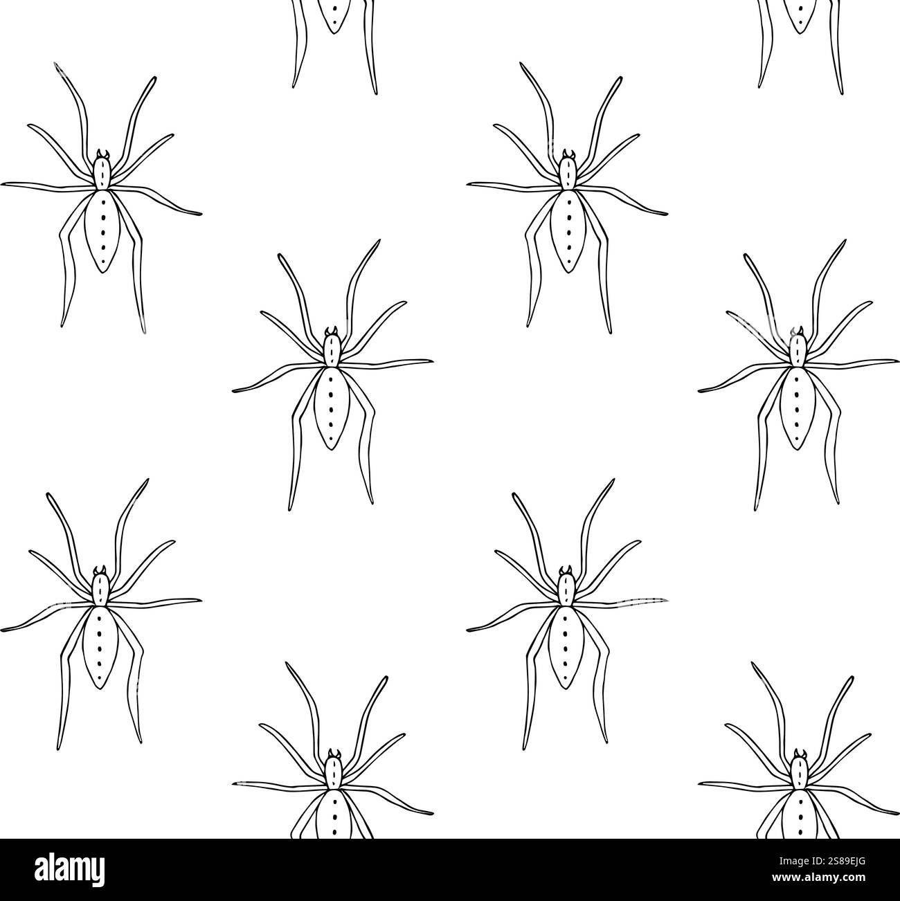 Vector seamless pattern of hand drawn doodle sketch spider isolated on ...