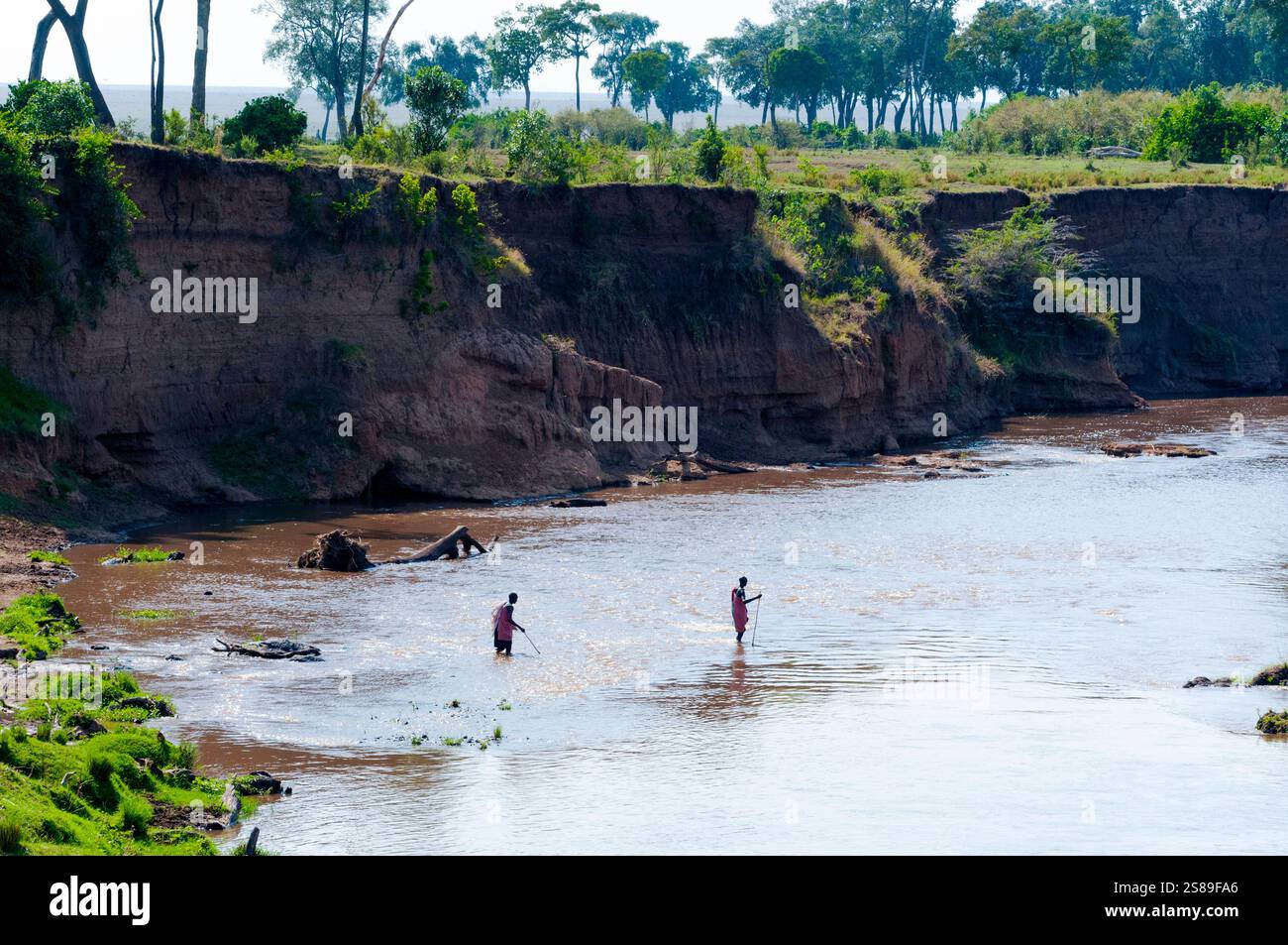 Two Masai (Maasai) crossing Mara River, Maasai Mara National Reserve ...