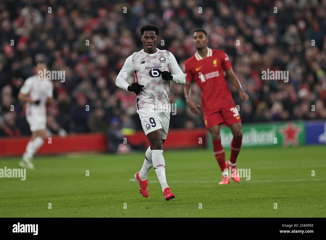 Liverpool, UK. 21st Jan, 2025. Jonathan David of Lille during the ...
