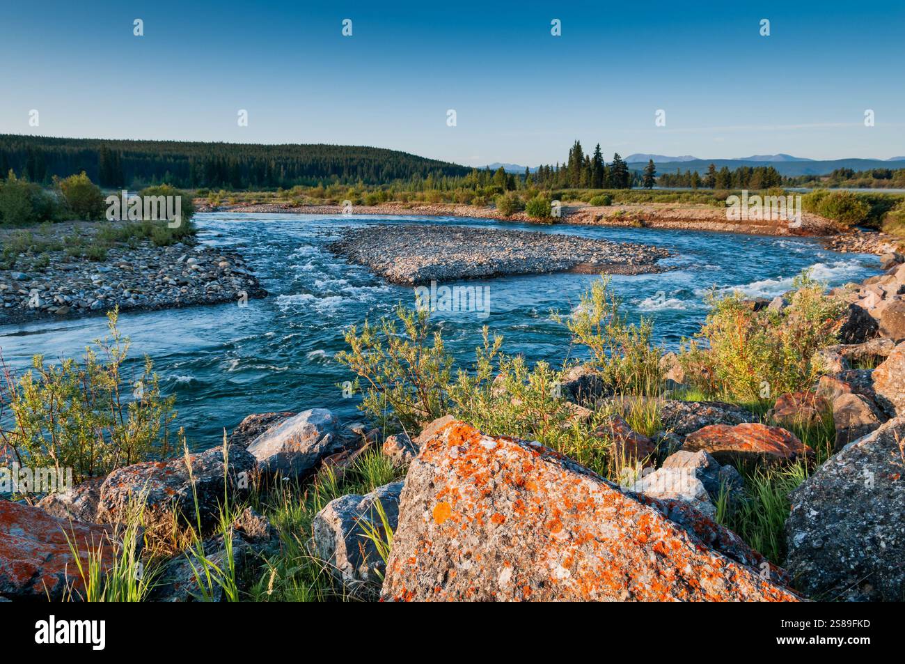 Big berland hi-res stock photography and images - Alamy