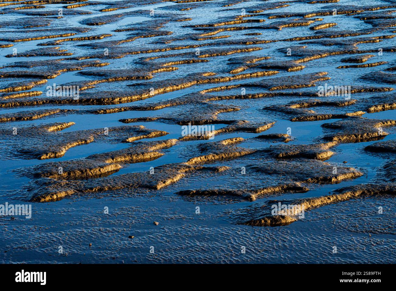 Intertidal Flats, Beach Regional Park, Richmond, British Columbia ...