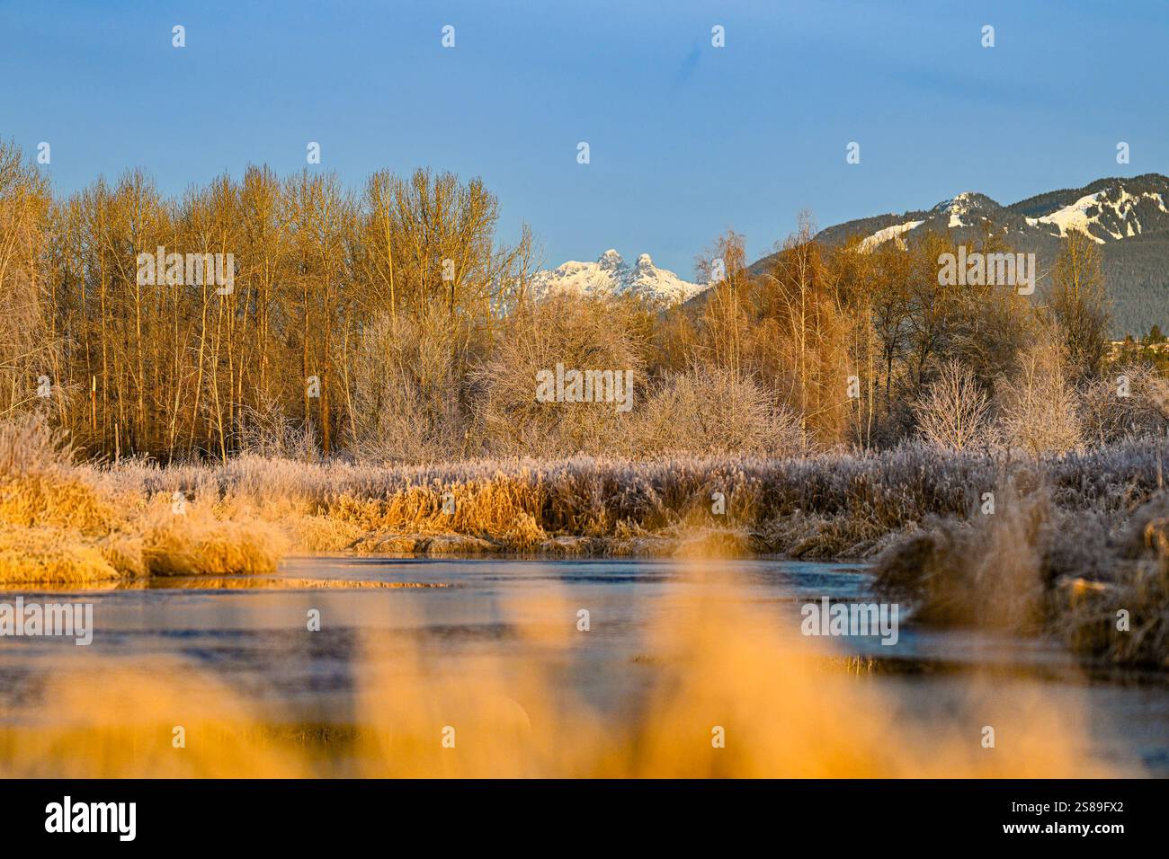 The Lions, North Shore mountain peaks from Still Creek, Burnaby Lake ...
