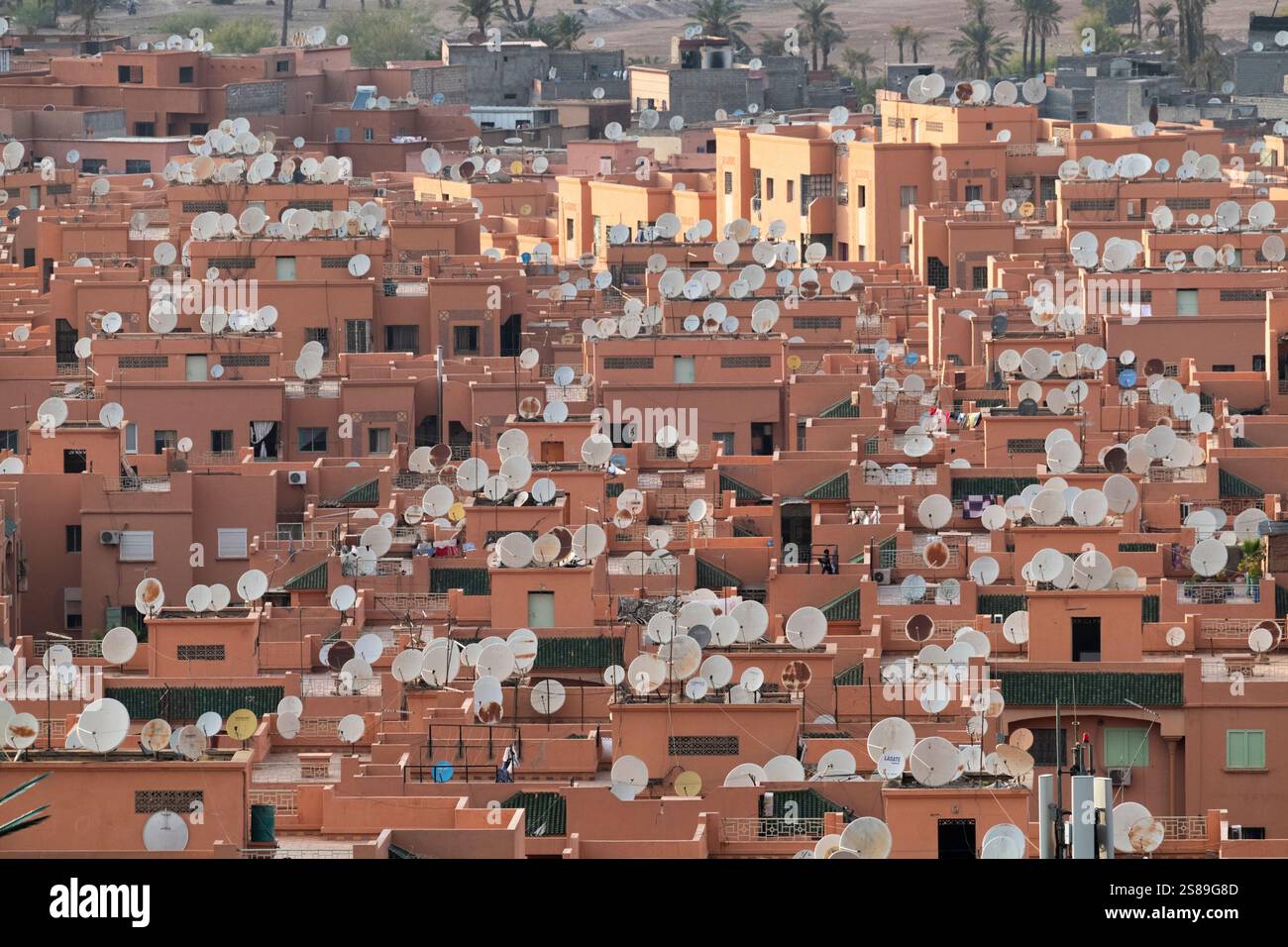 Africa, Morocco, Marrakesh. Array of satellite dishes atop buildings ...