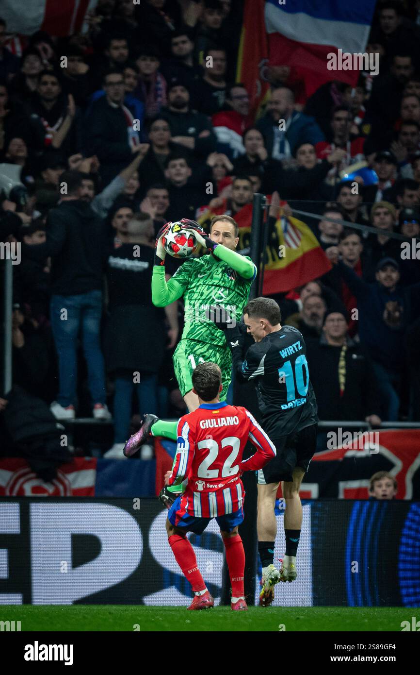Madrid, Spain. 21st Jan, 2025. Goalkeeper Jan Oblak (Atletico de Madrid) controls the ball ...